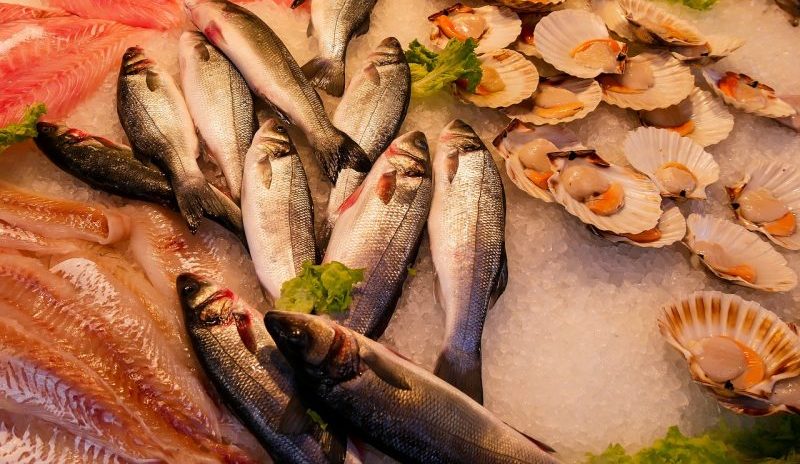 Fresh Vs. Frozen Fish - Which Should You Buy?