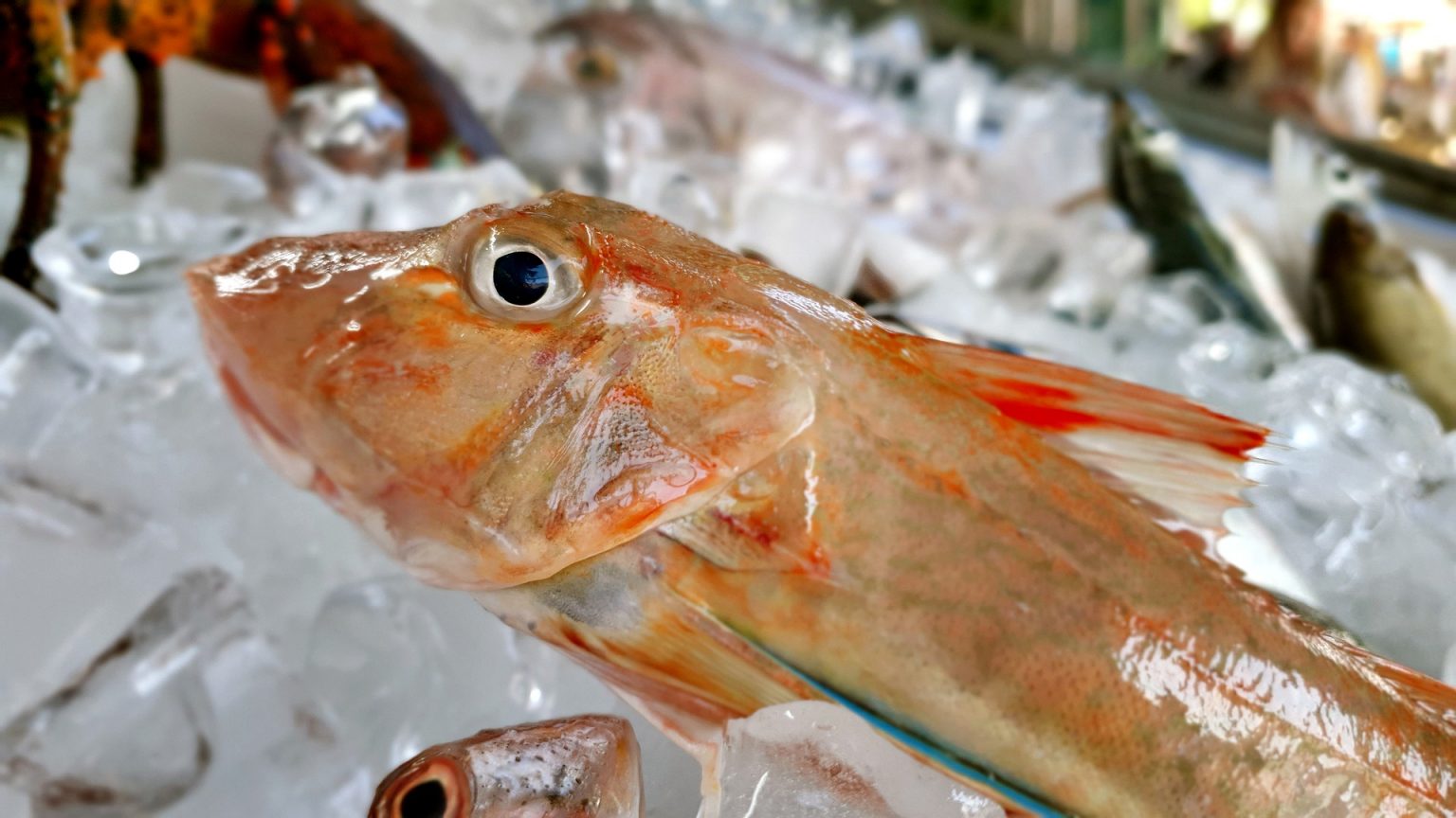 Fresh vs. Frozen Seafood: Which is Better? - NC Seafood Restaurant